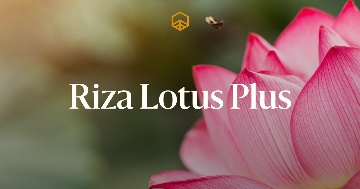 Riza Lotus Plus | Riza | Asset